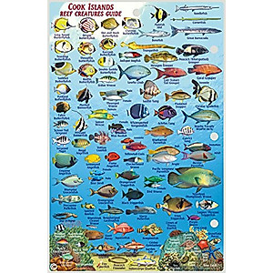 Cook Islands Dive Map & Coral Reef Creatures Guide Franko Maps Laminated Fish Card