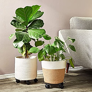 Bright Creations 4 Pack Metal Rolling Plant Stand Base, Planter Caddy with Wheels for Indoor and Outdoor Pots (10.6 Inches)
