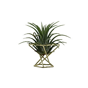 Nwsrayu Geometric Air Plant Holder Airplants Rack Metal Plants Stand Planter Shelves Himmeli Living Decor Tillandsia Pot Containers (Gold 3pcs)