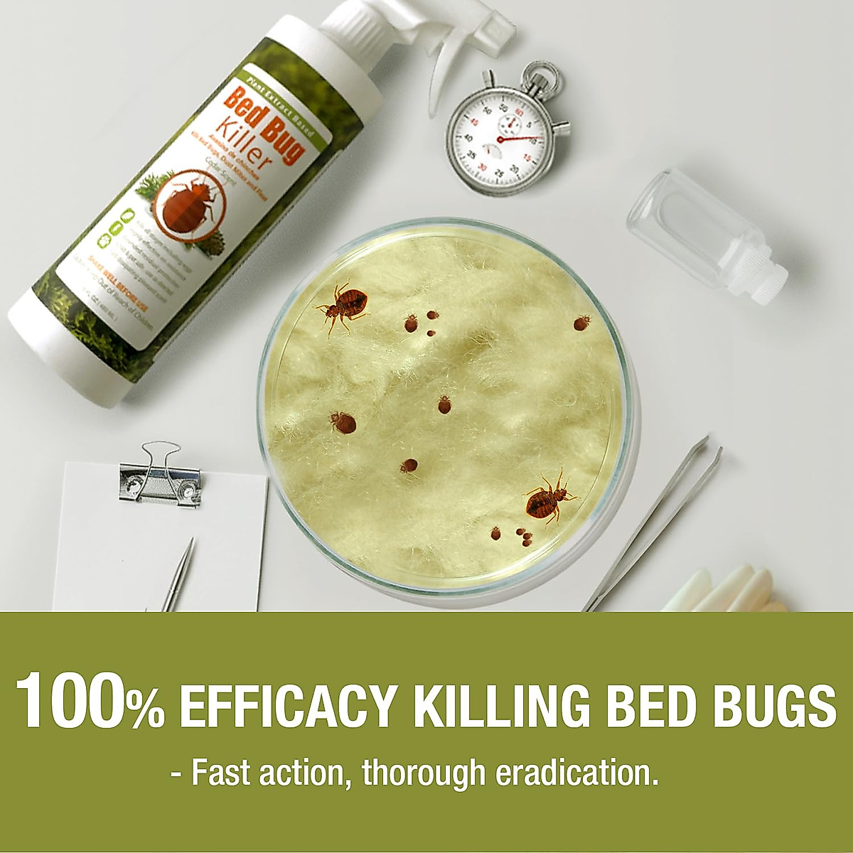 EcoRaider Bed Bug Killer Spray 16 Oz, Green + Non-toxic, 100% Kill + Extended Protection