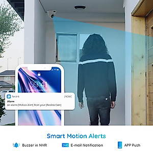 REOLINK 4MP PoE IP Camera, Add-on Outdoor Video Surveillance Cam to Home Security System, ONLY Work POE Camera System and NVR, Third Party Incompatible, D400