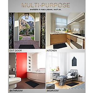 K&janet6am Door mat Indoor Rug Inside Front Entrance, 27.5x17.7 Inches, Durable Floor Mat Non Slip Rug Ultra Absorb Mud, Low Profile Front Back Door Rug for Entryway, Black