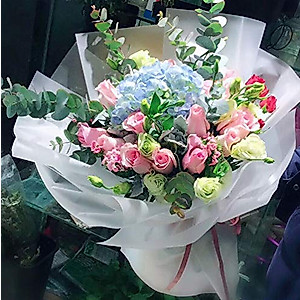 BBJ WRAPS Korean Flower Wrapping Paper Roll Florist Bouquet Supplies Waterproof Floral Wrapping Paper For Fresh Flowers, 23.6 Inch x 66 Feet (Black)