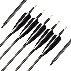 ZSHJGJR 34 Inch Carbon Arrows Archery Hunting Target Arrow Spine 500 with 4" Real Feathers 100 Grain Points Arrow Quiver Tube 12 Pieces (12 Pieces Arrows + Quiver)