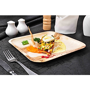 Atmos Green 25 pack 10" Square Palm Leaf Dinner Plate Compostable disposable premium heavy duty Eco-Friendly Microwave Refrigeration safe Bamboo like Wedding Events Party