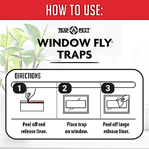 Window Fly Traps Indoor Clear (30 Pack) - Fly Window Traps for Indoors Sticky, Indoor Fly Trap Non-Toxic Fly Strips for Windows - Fly Sticky Traps Indoor Fly Paper Indoor Bug Sticky Traps (8.25" x 5")