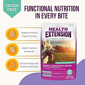 Health Extension Dry Dog Food, Natural with Added Vitamins & Minerals, 1 lb / 0.45 kg, Grain Free, Salmon & Sweet Potato Recipe with Vegetables & Berries for All Puppies