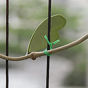 Shintop 328 Feet Garden Plant Twist Tie with Cutter for Gardening, Home, Office (Green)