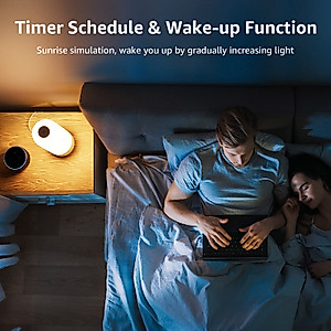 Lepro Smart Table Lamp, Dimmable LED Touch Lamp Compatible with Alexa and Google Assistant, Tunable Warm White Bedside Night Light, RGB Color Changing Ambient lamp for Bedroom, Silver, 2.4 GHz Wifi