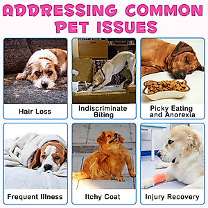 Liquid Collagen for Dogs | Collagen for Dogs | Liquid Collagen for Dogs | Liquid Collagen Skin and Coat | Itch Relief for Dogs with Allergies | Skin and Coat Supplement for Dogs Bacon Flavor 2fl.oz