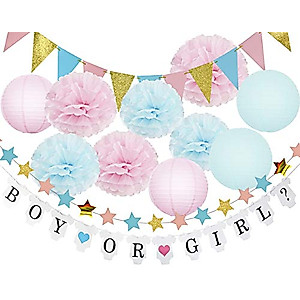 Gender Reveal Party Decorations BOY OR GIRL Banner Glitter Gender Reveal Cupcake Toppers Glitter Gold Pink Blue Triangle Garland Star Garland Tissue Paper Pom Poms Paper Lanterns for Baby Shower Party