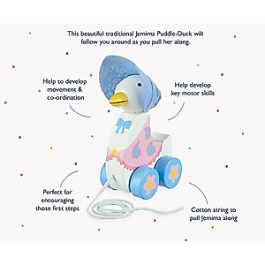 Orange Tree Toys Peter Rabbit: Pull Along: Jemima Puddle-Duck - Wooden Toy, Wheeled Character, Encourage First Steps, FSC Certified, Licensed, Toddler & Kids Ages 1+