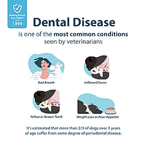 Dental Fresh Oral Spray for Dogs and Cats, Eliminates Bad Breath and Protects Their Teeth & Gums, 4 Fl Oz.