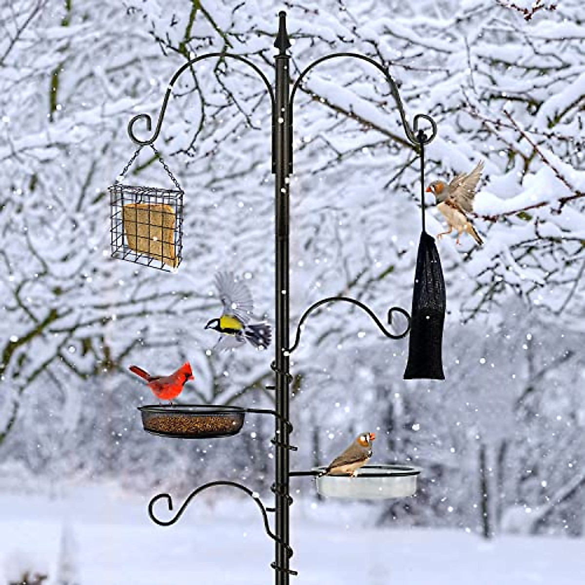 Bird Feeders Bird Feeding Station Bird Feeder Poles,Premium Multi Feeder Hanging Kit with Suet Cage and Bird Bath,Bird Food Finch Sock for Attracting Wild Birds