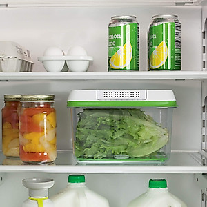 Rubbermaid Produce Food Storage, 17.3 Cup, Green