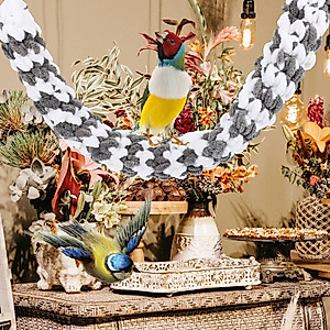 Totority Sugar Glider Climbing Rope Rat Toys for Pet Rats Bungee Rope Bird Toy Climbing Rat Toy Woven Hamster Toy Swing Glider Climbing Sugar Glider Toy Parrot Stand to Weave Cotton Rope