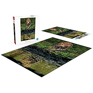 Buffalo Games - Allure of The Untamed - 500 Piece Jigsaw Puzzle