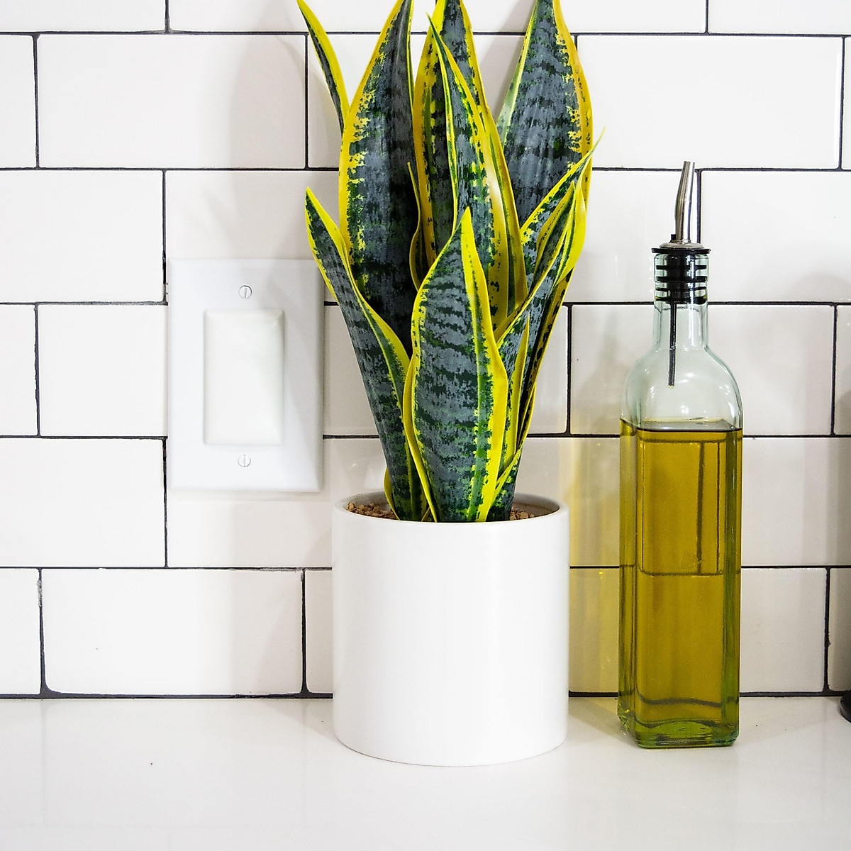 Qdos StayPut Double Outlet Plug Cover - One Plug Covers both Outlets! - Secure Fit and Beveled Edges Prevent Small Fingers from Removing Unlike Inferior Products| Fits All Outlets | 6 pack | White