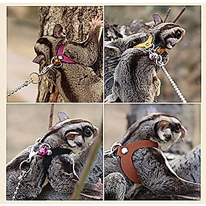 3 Pack Sugar Glider Harness and Leash Set - Adjustable Traction Rope Strap Anti-Biting Chain Rope, Small Animal Training Walking Vest Leash for Sugar Glider Squirrel Hamster Rat Birds Reptile (Black)