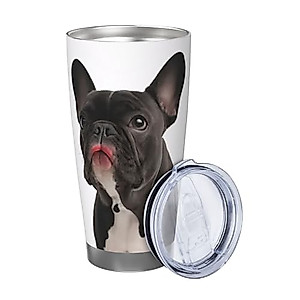 NHJKLWQSZ French Bulldog 20oz Stainless Steel Tumbler With Lid And Straw, Double Wall Vacuum Insulated Coffee Mug Travel Cups Leak-Proof Lid For Hot And Cold Drinks, Metal Straws And Brush