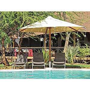 ELECTRFIRE 15 Inch Garden Reflective Scare Rods 8 Pack for Yard, Upgraded Reflective Spiral Scare Rods Outdoors, Keep Birds Away from Garden Yard