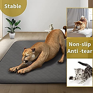 CoolShields Washable Puppy Dog Pee Pad, 34" X52" Extra Large, Waterproof Whelping Training Mat for Playpen Crate, Floor, Bed,Sofa and Trunk [Premium Fabrics That can be Used by Humans]