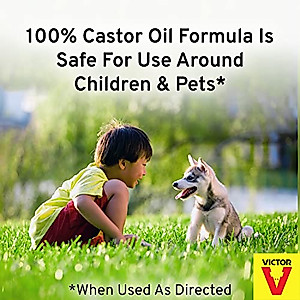 Victor M8002 Mole & Gopher Repellent Yard Spray – 1 Bottle, Yellow