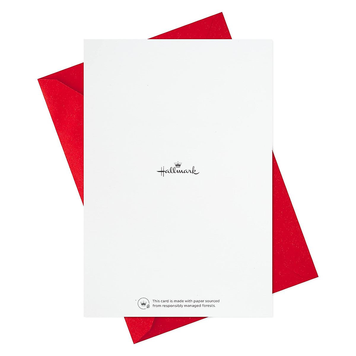 Hallmark Birthday Cards Assortment, 16 Cards with Envelopes (Make a Wish)