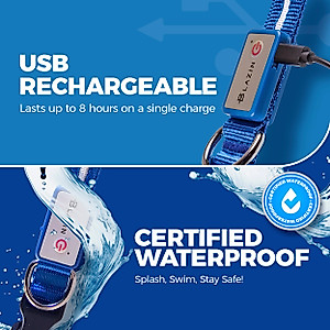 Blazin Brightest Light Up Dog Collars - The Original LED Dog Collar with 1,000 Feet of Visibility - USB Rechargeable Waterproof Dog Collar Light - Dog Lights for Night Walking - USA Brand