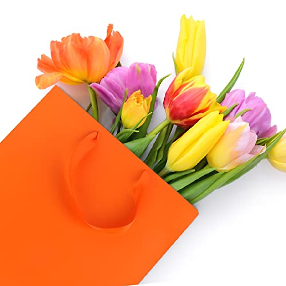 10 Pcs Orange Paper Gift Bag Wide Handle Cardstock Paper Bags All-Occasion Paper Bags Heavy Duty Shopping Bags Reusable Business Bag Vogue Paper Gift Bags Take Out Bags with Tissue,9.8"*5.1"*12.6"