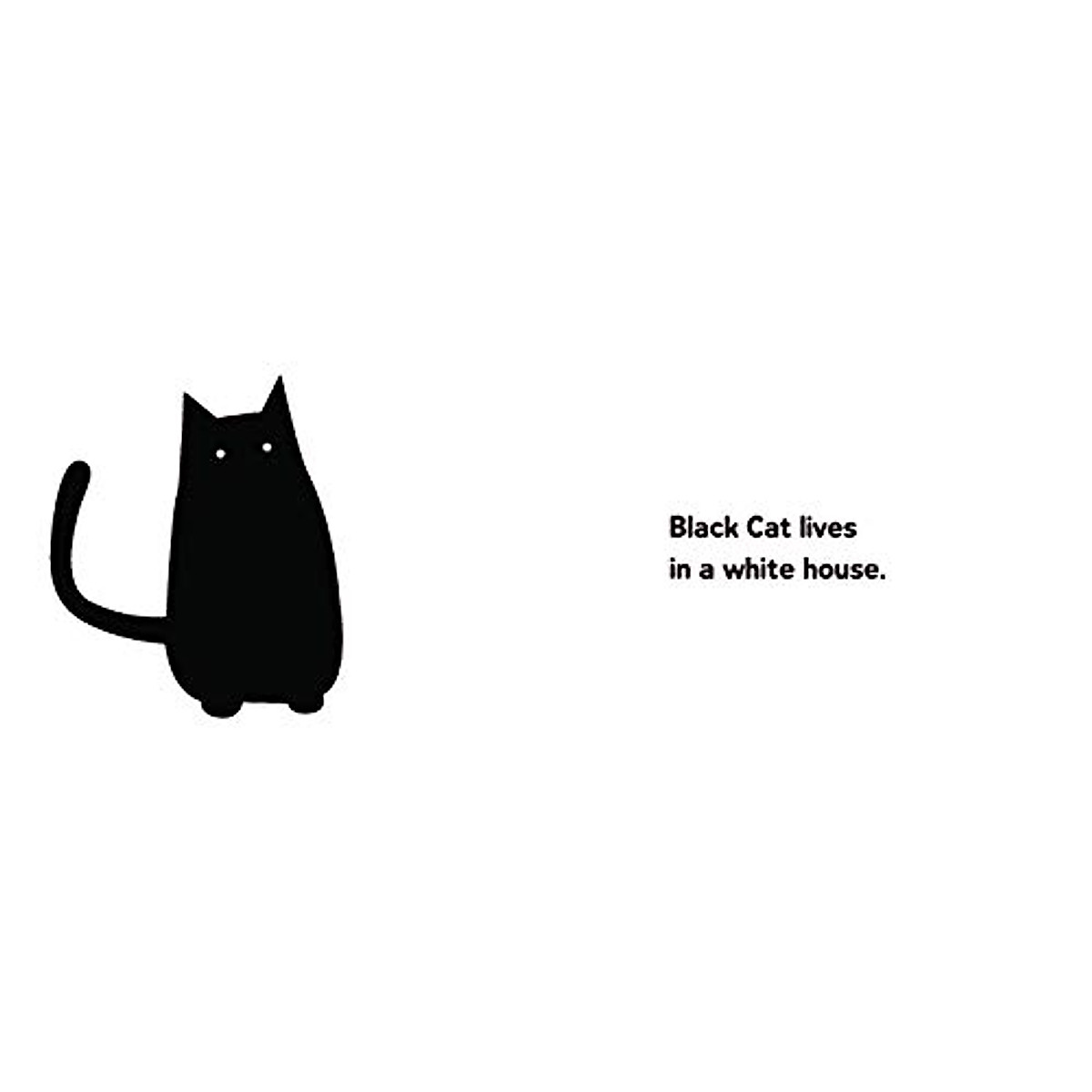 Black Cat & White Cat: A High Contrast Sensory Board Book About Opposites For Newborns and Babies