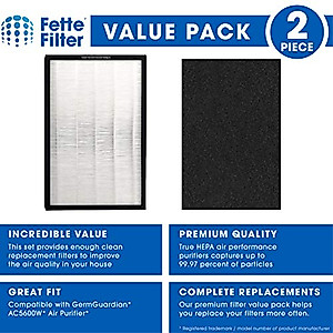 Fette Filter - True HEPA Air Purifier Filter Model AC5600W. Filter N Compare to Part # FLT5600. (Pack of 1)