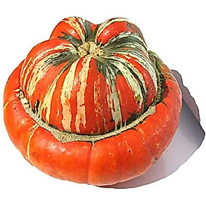Turks Turban Gourd Squash Seeds for Planting, 25+ Heirloom Seeds Per Packet, (Isla's Garden Seeds), Non GMO Seeds, Botanical Name: Cucurbita Maxima 'Turban', Great Decoration or Gift