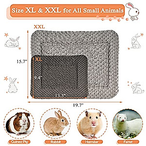 catadog Small Animal Bed Mat, Soft & Warm, Suitable for Guinea Pig, Hamster, Rabbit, Rat and Bearded Dragon (X-Large(13.3''x9.4''), Star Grey)