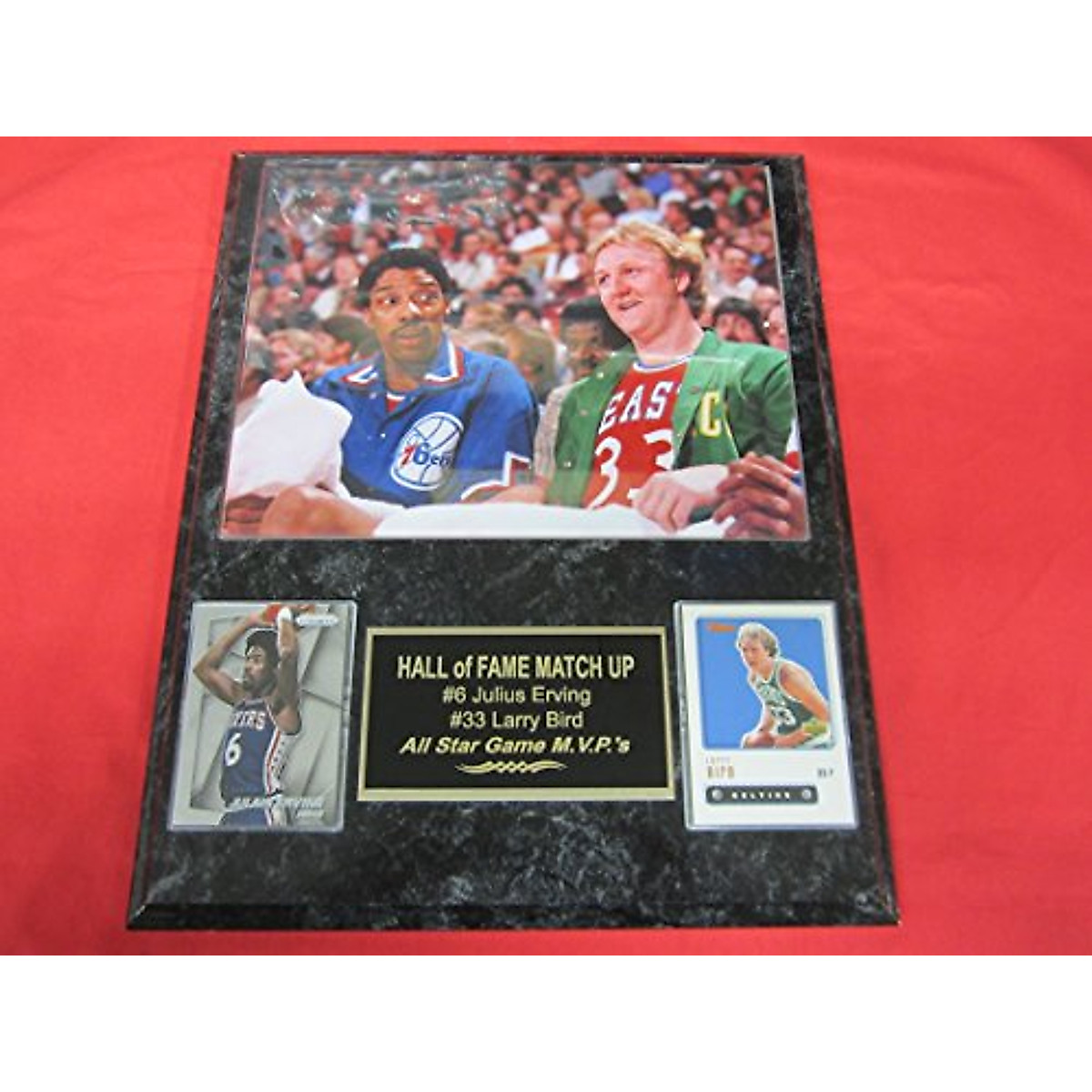 Larry Bird Julius Erving Dr J 2 Card Collector Plaque w/8x10 Color Photo