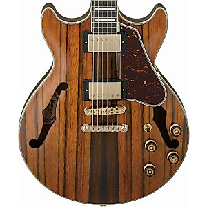 Ibanez AM93ME Artcore Expressionist Macassar Ebony Semi-Hollow Body