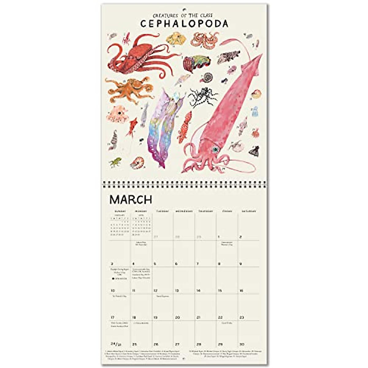 High Note 2024 Monthly Wall Calendar Planner, 16-Month Art Calendar: September 2023 - December 2024, 11" x 12" - Orders of The Animals