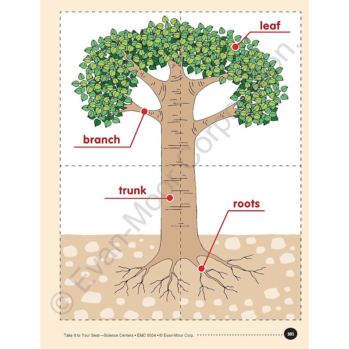 Take It to Your Seat Science Centers, Grades PreK-K