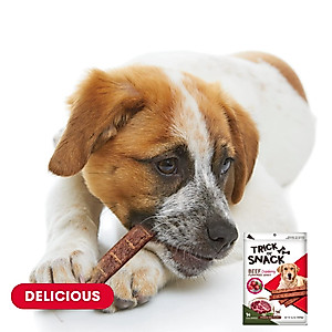 TRICK OR SNACK Premium 1lb Dog Jerky Treats | Dog Training | Dog Walking | Natural Grillers | Healthy Smoked Beef Chicken Salmon Chews Snacks Beef Cranberry Jerky