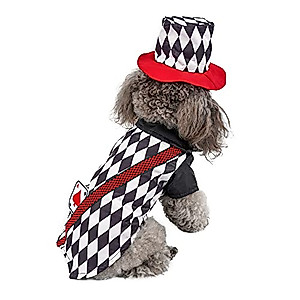 Mogoko Magician Dog Costumes, Pet Halloween Cosplay Jumpsuit with Hat, Adorable Magician Costume, Apparels Warm Outfits Clothes