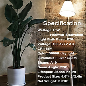 LED Light Bulbs 100 Watt Equivalent A19 LED Bulbs Daylight 5000K, 15W 1600LM Super Bright, E26 Base, Energy Saving Lightbulbs for Living Room Bedroom Home Office, Non-Dimmable, CRI 85, 2-Pack