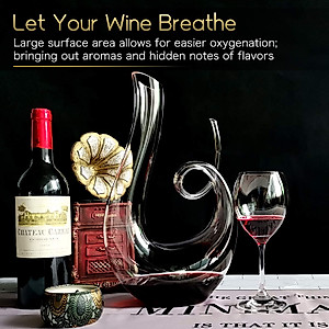 NUTRIUPS Wine Decanter Swan Red Wine Decanters Hand Blown Wine Decanter and Carafe Decanter for Wine