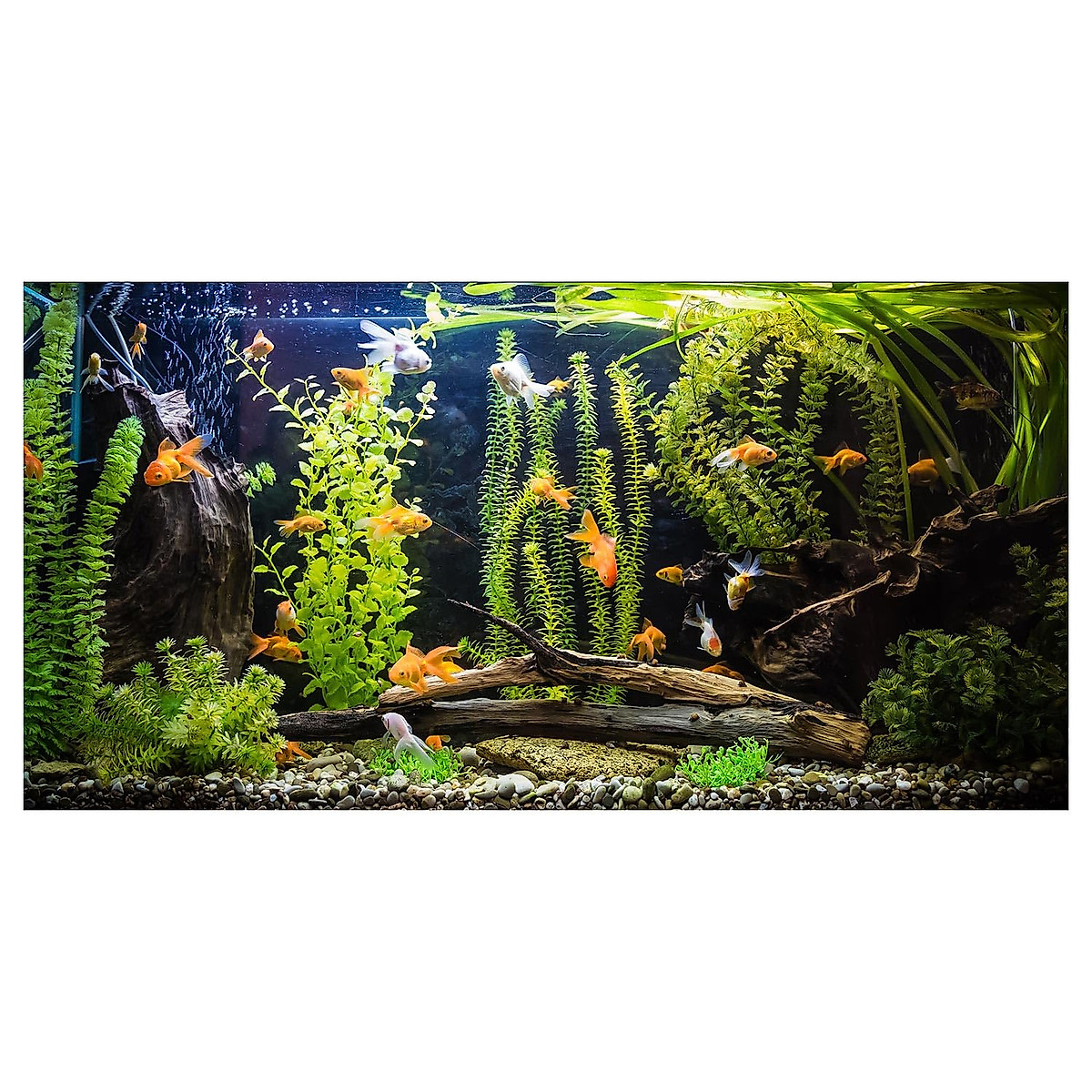 Dizifinn Aquarium Background, River Bed & Lake Tropical Undersea Tree Branch Aquatic Plant Fish Tank Background, 6 EVA Double-Sided Tapes 36x18 inches/90x45