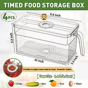 Blushtier 4 Pcs Fridge Organizer Bins with Drain Tray and Lid Handle Plastic Stackable Timer Keep Fresh Sealed Food Storage Container for Vegetables Fruit Salad Lettuce, 10 x 5.3 x 5.3 (Drain Tray)
