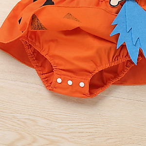 IBAKOM Baby Girl Romper Dress Toddler Cake Smash Outfit First Birthday Outfit Bubble Bodysuit One Piece Cavegirl Easter Clothes Baptism Halloween Christmas Onesie Orange-Dress (2PCS) 18-24 Months