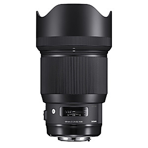 85mm F1.4 Art DG HSM for Sony E