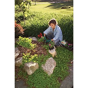 Rain Bird TP25/10PS Drip Irrigation 1/4" Tubing End Closure, 1/2" Tubing "Goof” Plug, 10-Pack