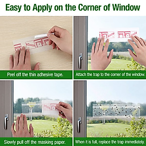 SEEKBIT 40 Pack Sticky Cockroach Traps on The Wall, Window Fly Traps for House, Clear Bug Killer Indoors, Fly Catcher Sticky Trap for Ladybugs, Gnats, Houseflies Glue Traps Keep Flying Insects Away