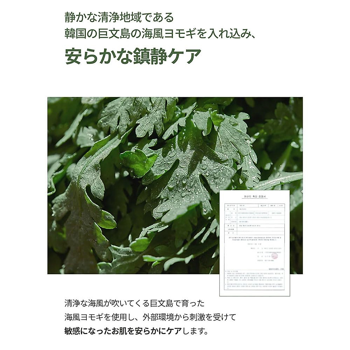 ROUND LAB Mugwort Calming Cream 80ml / Soothing, Moisturizing, Madecassoside, Calming Cream