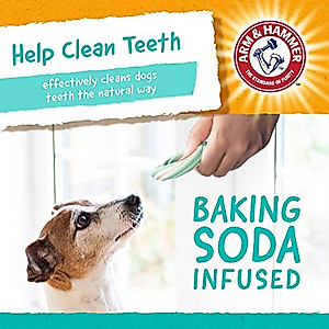 Arm & Hammer for Pets Ringers Dental Treats for Dogs | Dental Chews Fight Bad Dog Breath, Plaque & Tartar Without Brushing | Fresh Mint Flavor, 5 Count